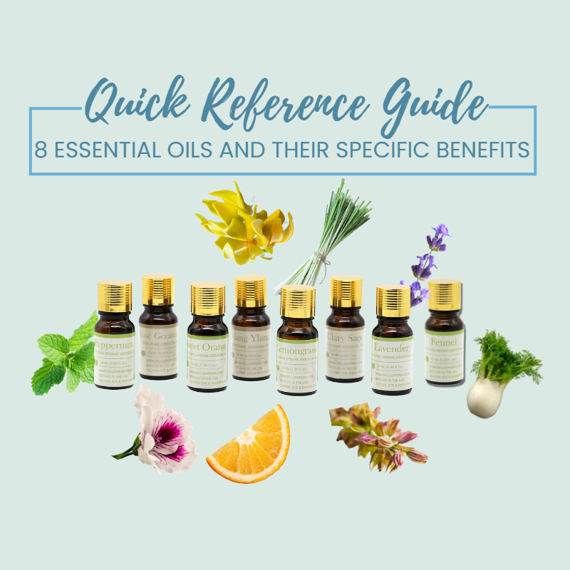Your Cheat Sheet to Eight of the Most Popular Essential Oils – The Gift ...