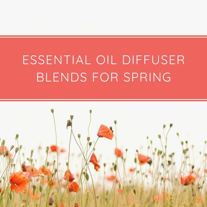 Essential Oil Diffuser Blends for Spring – The Gift of Scent