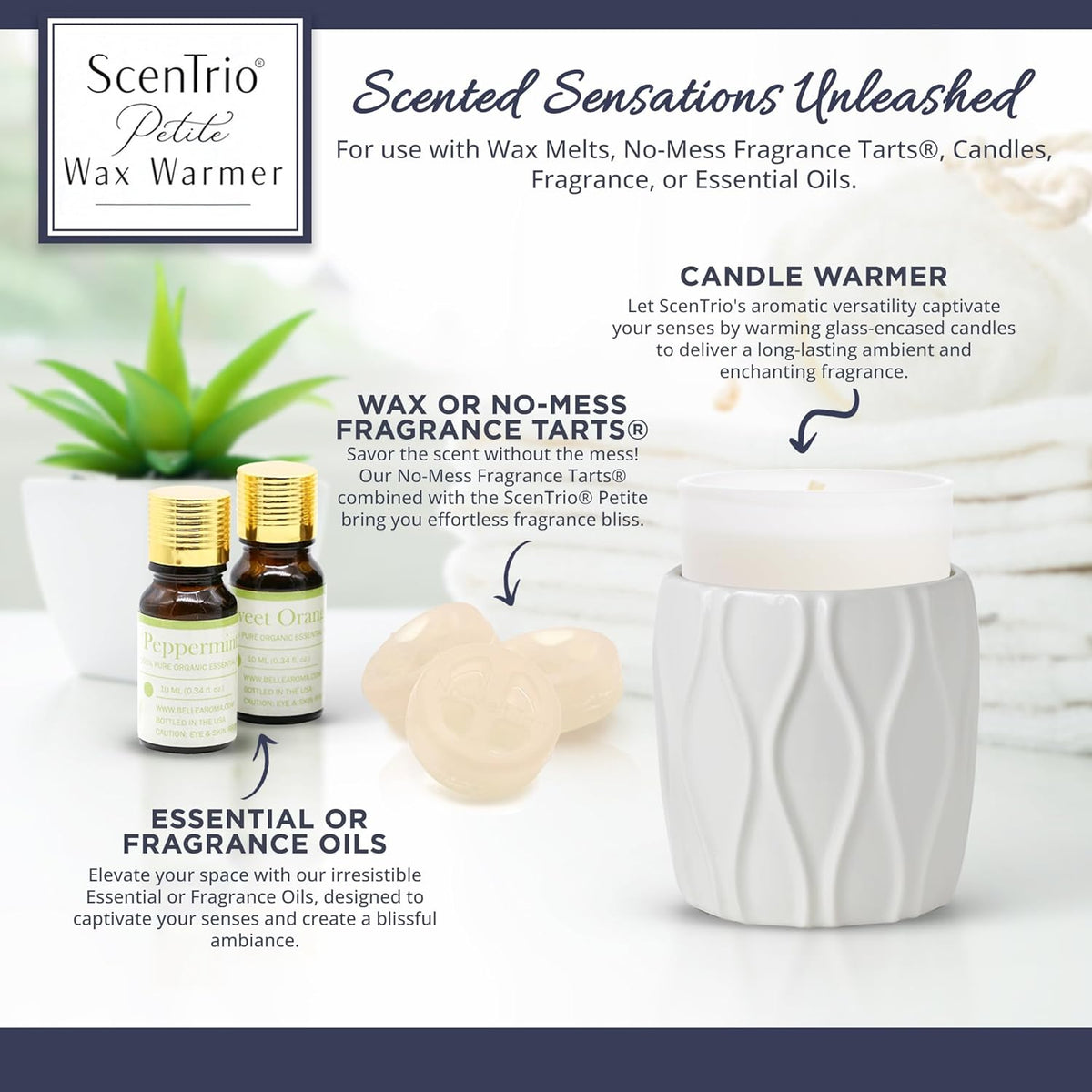 The Home Fragrance Collection – The Gift of Scent